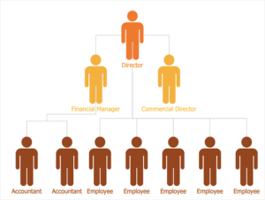 Organizational Guides: Full 2024 Guide to Creating, Using, and ...