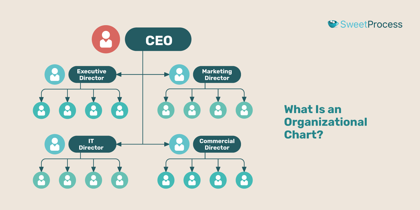 10+ Free Organizational Chart Templates: [+Types & Examples]