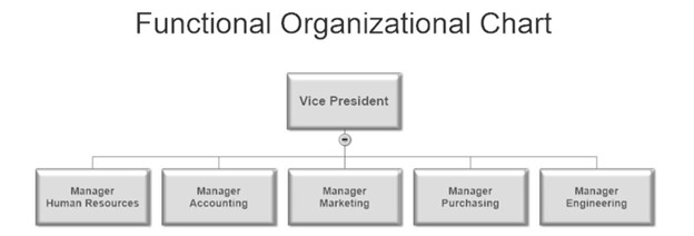 Functional Organizational Structure Chart - SweetProcess Functional Organizational Structure Chart - SweetProcess