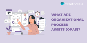 What Are Organizational Process Assets? (How to Develop and Manage Them ...